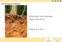 Soil of tropical rainforests