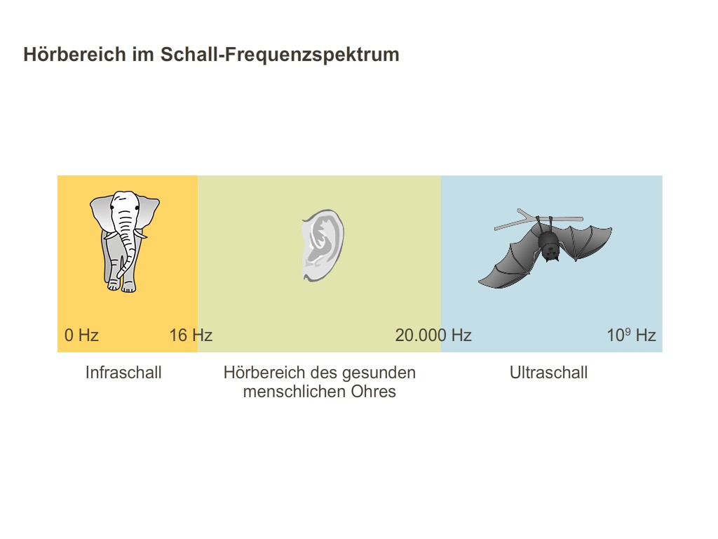 Hörbereich im Schall-Frequenzspektrum