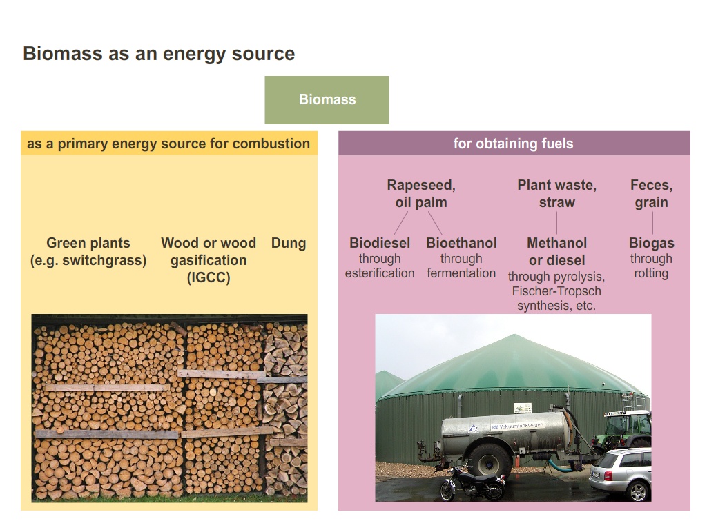Biomass as an energy source