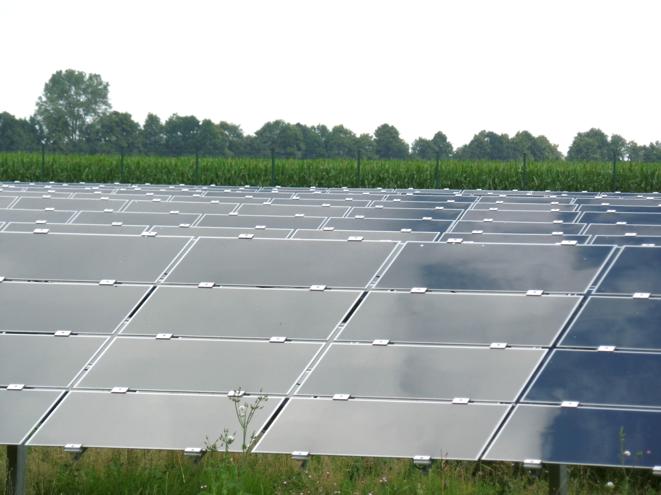 Solar electric power plant on open space (“solar field,” “solar park”)